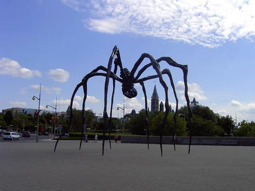 Biggest Spider Fossil Ever Found Biggest Spider Fossil Ever Found